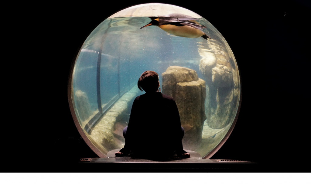 How filter bubbles confirm our biases and what we can do about it - UX ...